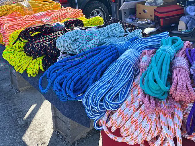 Rope rainbow! From nautical projects to practical farm use, these vibrant cords prove even the most utilitarian items can be surprisingly beautiful.