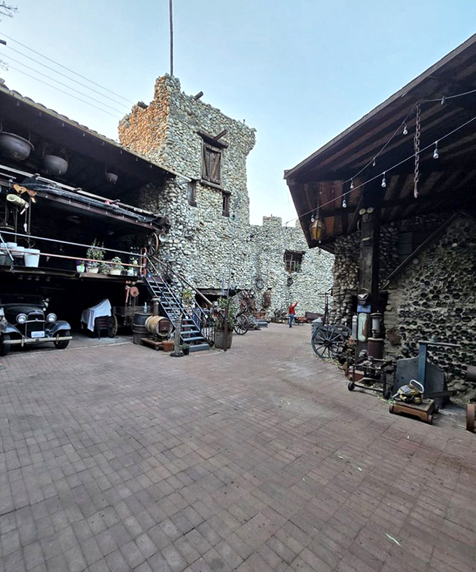 Step into the castle courtyard where vintage automobiles nestle against stone towers, like a medieval garage sale where knights might have parked their other metal steeds.
