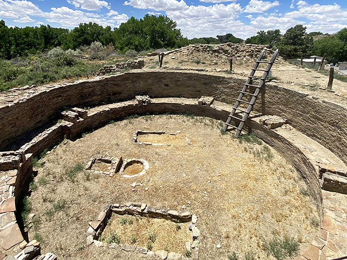 Ancient ingenuity on display at Salmon Ruins, where circular kivas tell stories of communities that thrived in this harsh landscape long before air conditioning.