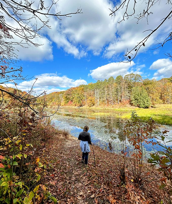 Fall's paintbrush transforms Lake Hope into a masterpiece. Even Monet would have to admit nature does autumn colors better than any artist could.