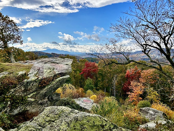 Fall foliage creates nature's own Technicolor dreamcoat. The Blue Ridge Mountains prove they can rock other colors when autumn comes calling.