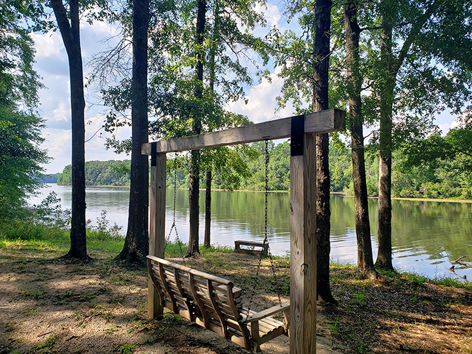 A shaded bench under the trees offering the kind of contemplative spot where life's problems seem suddenly smaller.