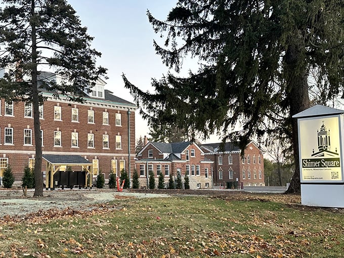 Shimer Square's stately buildings remind us that education once came with architectural gravitas, not just student loan debt.
