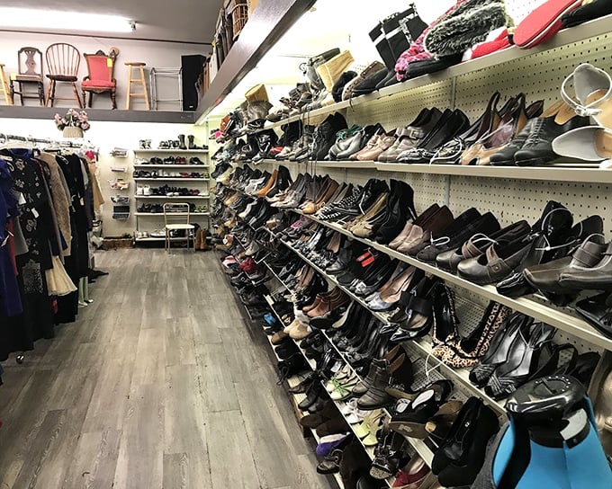 Where shoes forgotten bestsellers and overlooked classics patiently wait for their second chance at entertaining you.