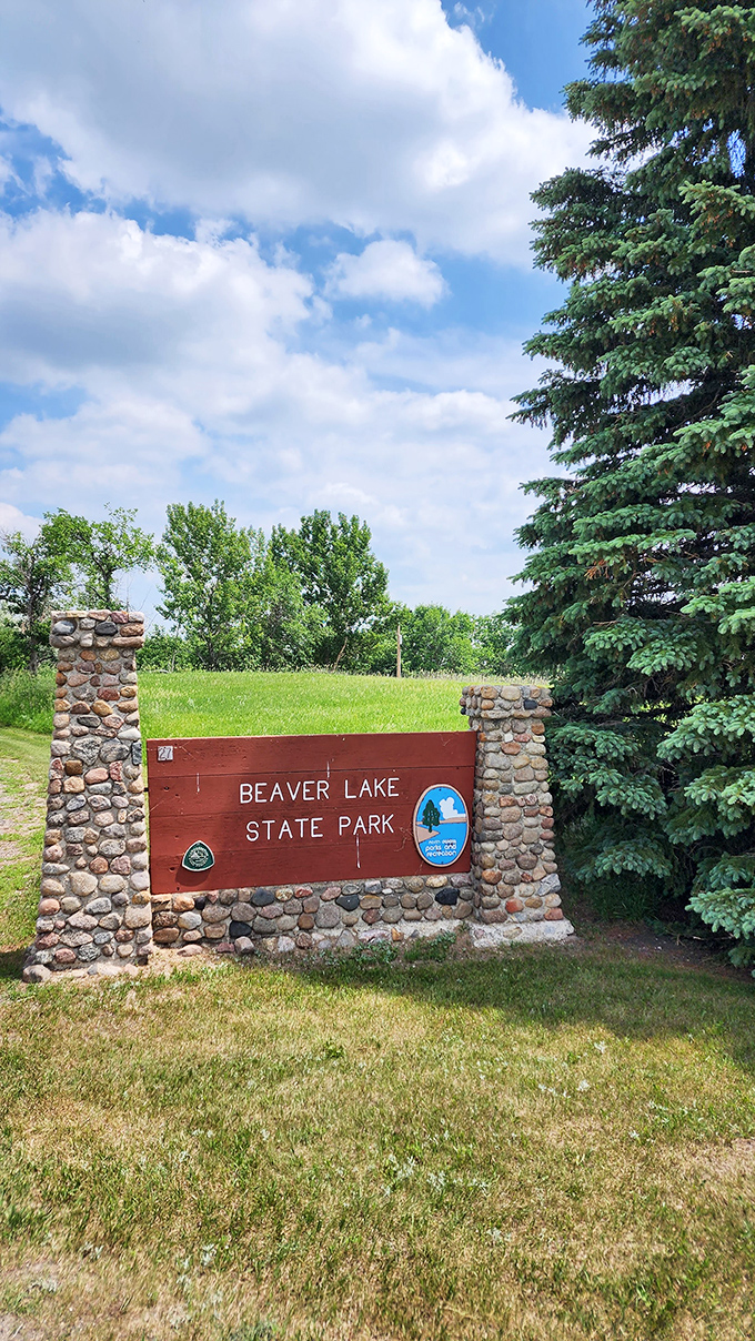 This entrance sign, framed by evergreens, isn't just marking a park&mdash;it's announcing your official break from reality.