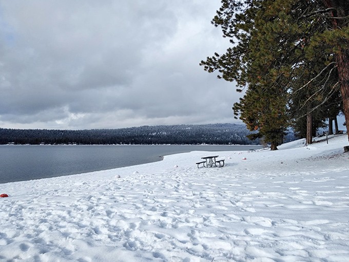 Snow-dusted shores create a scene so serene, even your stressed-out brain cells take a collective deep breath and relax.