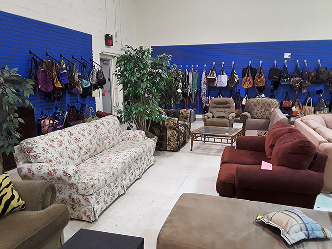 Sofa safari at its finest! That floral print couch has stories to tell, while the burgundy loveseat waits for its rom-com moment.