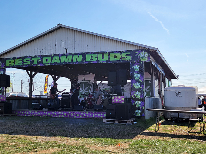 Live music adds to the festive atmosphere at Renninger's special events. Nothing pairs better with bargain hunting than some toe-tapping tunes.