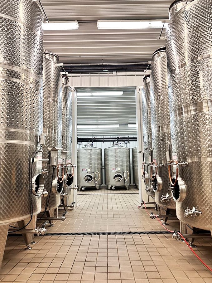 Where the magic happens &ndash; gleaming stainless steel tanks holding liquid treasures waiting to be bottled.