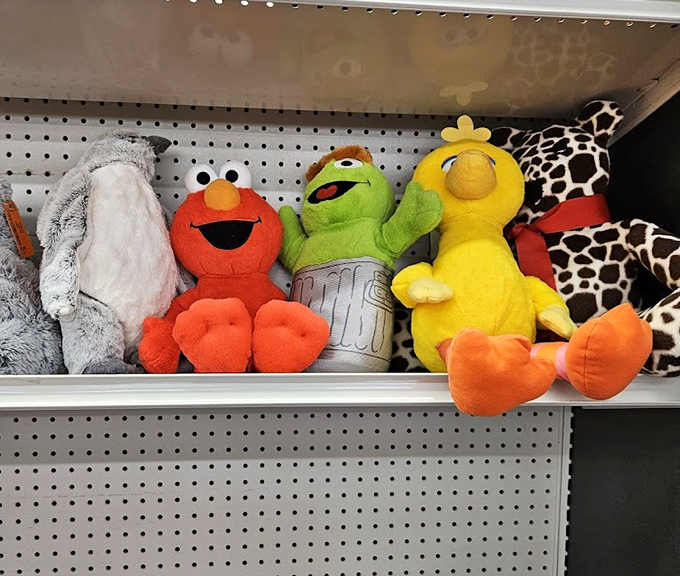 Sesame Street's finest await new homes, proving that even Elmo and Big Bird need second chances sometimes.