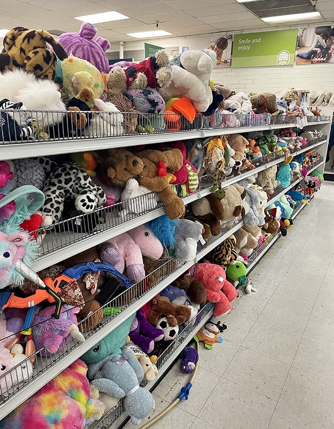 Stuffed animal heaven or adorable army of the pre-loved? Either way, these cuddly creatures are waiting for their next adventure.