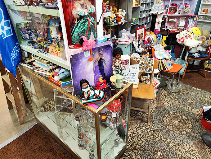 A wonderland of yesterday's playthings, where dolls with hopeful expressions wait for second chances at being loved again.