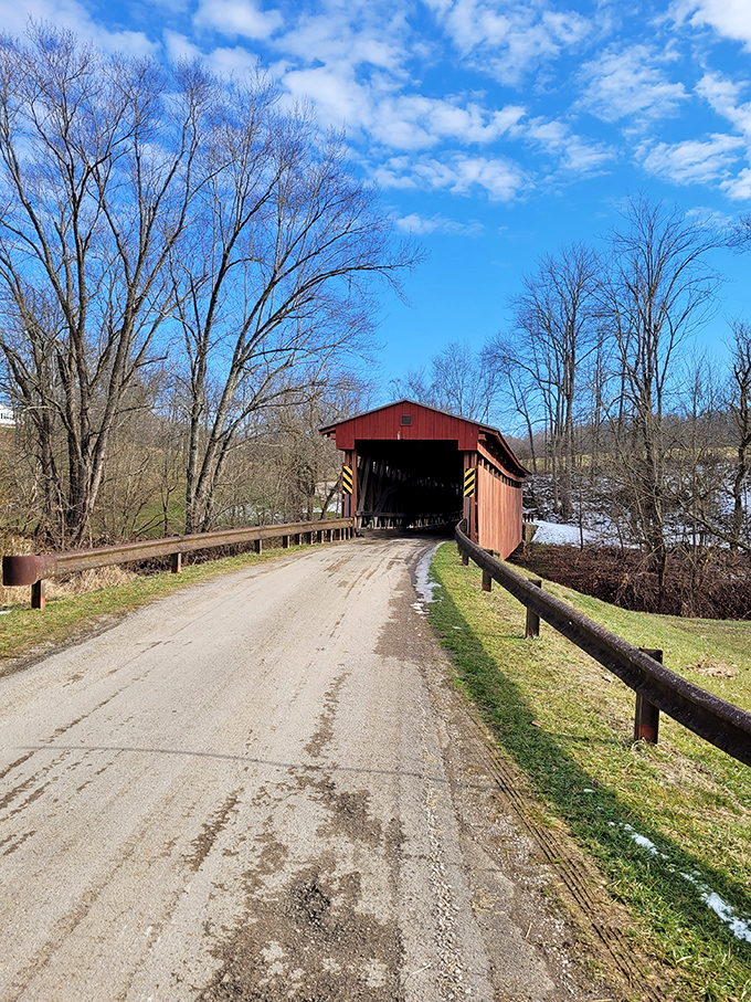 Blue skies frame this crimson sentinel, standing guard over the creek below like a faithful old friend who's seen generations come and go.