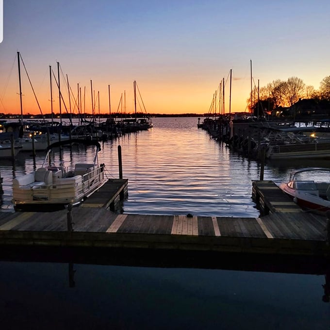 Lake Norman's marina at sunset transforms ordinary boats into silhouettes worthy of a retirement brochure. No filter needed, just patience.