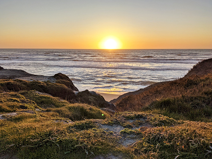 The golden hour transforms ordinary hills into silhouettes worthy of a meditation app background. Serenity now, indeed!