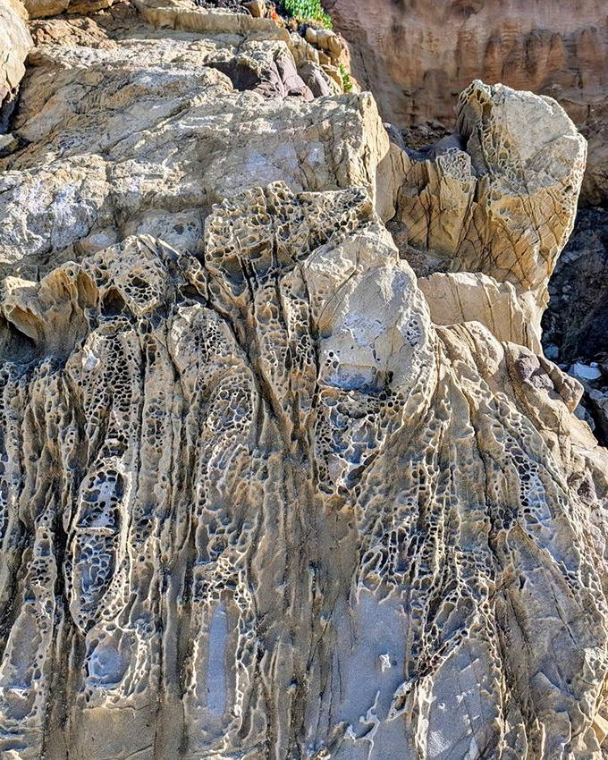 Nature's Swiss cheese! These honeycomb rock formations, sculpted by millennia of wind and water, prove Mother Nature was into abstract art long before Picasso.