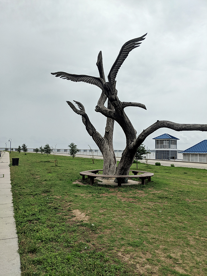 Nature's sculpture garden: The Angel Trees stand as haunting reminders of Katrina's fury, transformed into art that speaks volumes without saying a word.