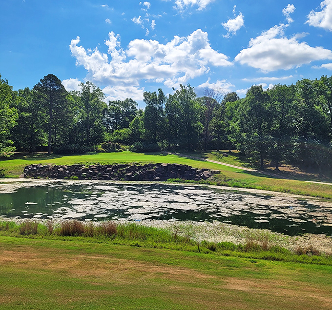 The Course at Eagle Mountain offers tranquility with a side of water hazards. Nature didn't just design this golf course&mdash;it collaborated with someone who understands retirement priorities.