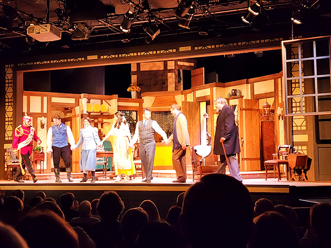 Local theater that proves retirement doesn't mean just watching reruns. These performers bring Broadway-worthy entertainment without the Manhattan prices. 