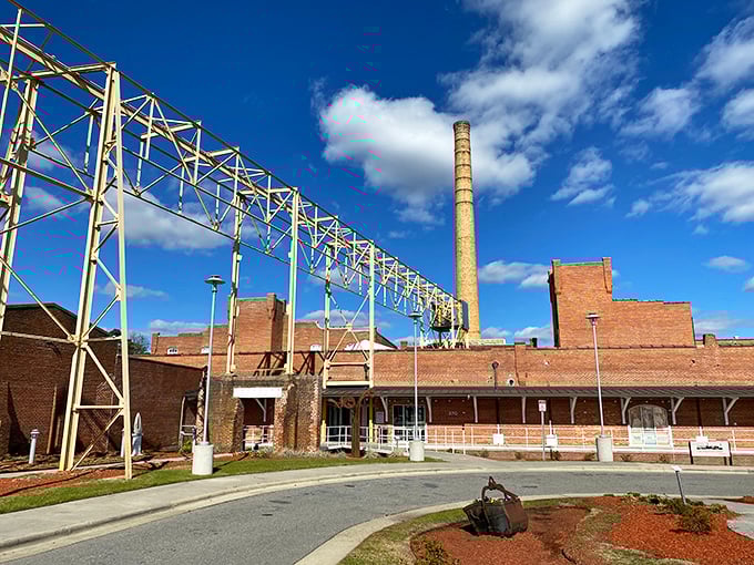The Imperial Centre transforms industrial heritage into cultural gold, proving factory buildings make excellent art galleries with proper lighting.