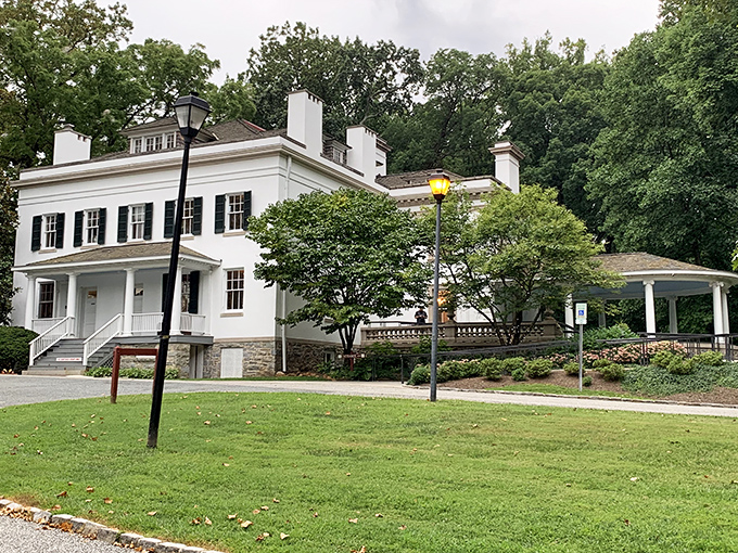 The Liriodendron Mansion stands elegant and poised &ndash; like that one friend who never seems to age.