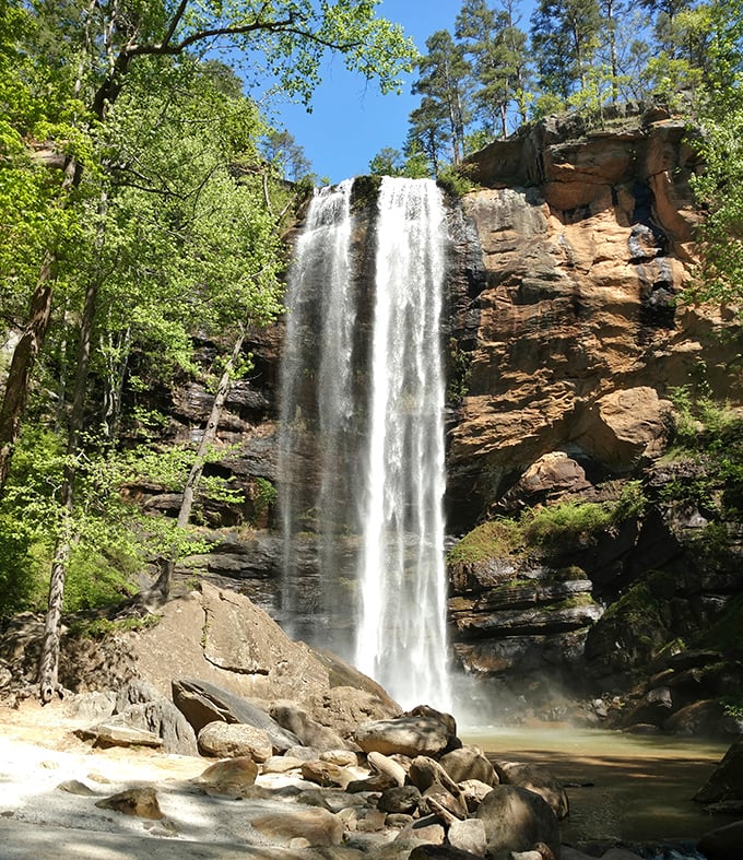 Toccoa Falls drops 186 feet with the kind of dramatic flair that makes Niagara call its agent wondering why it's not getting better press.