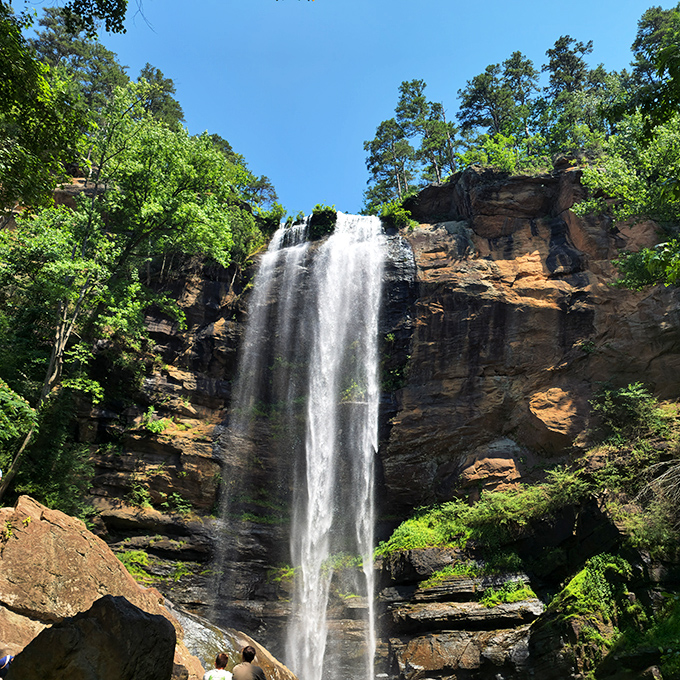 Toccoa Falls drops 186 feet with the drama of a Hollywood waterfall but none of the special effects&mdash;just pure, magnificent Georgia nature showing off.