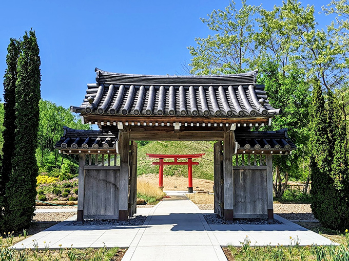 Traditional Japanese architecture frames the torii perfectly, creating Instagram gold before smartphones even existed.