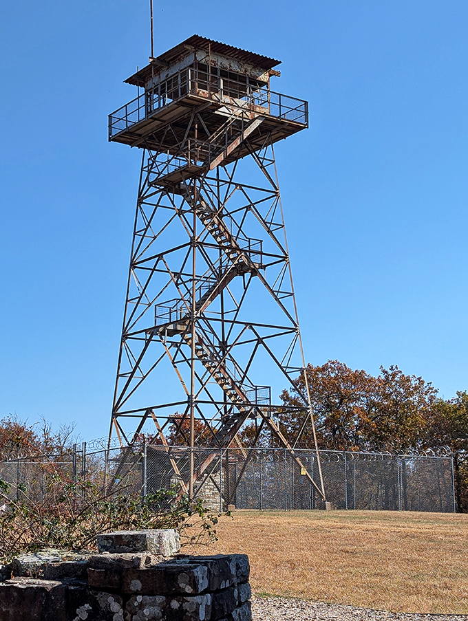 Sentinel of the skyline. This fire tower has seen more stunning sunrises than most of us will in a lifetime.