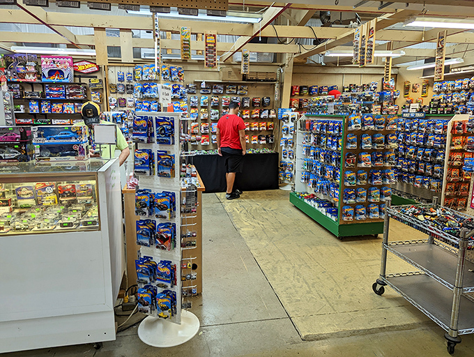 Hot Wheels heaven! This collector's paradise showcases decades of miniature automotive history, meticulously organized for the serious enthusiast.