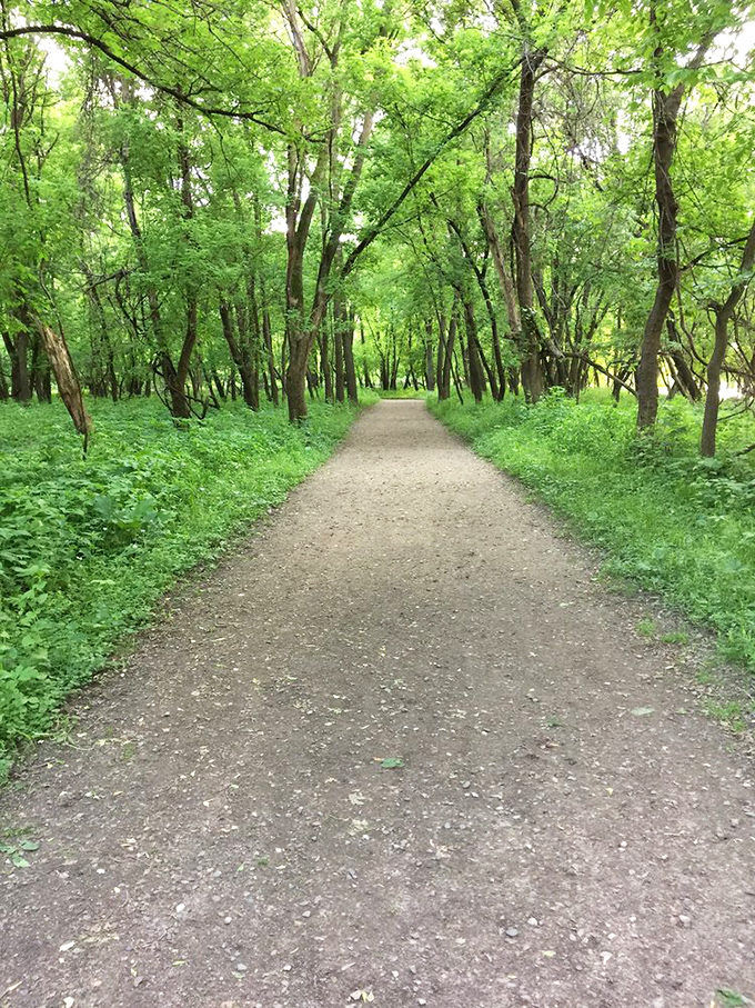 Nature's cathedral&mdash;sunlight filters through the canopy creating a green-hued sanctuary that makes even the most dedicated couch potatoes consider hiking a religious experience. 