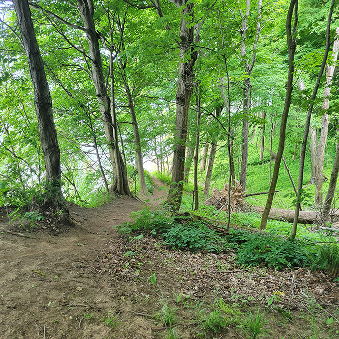 The path less traveled leads to the most rewarding views. This winding trail practically whispers promises of spectacular lake vistas ahead.