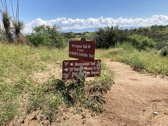 Trail signs that actually make sense &ndash; a rarity in the hiking world that deserves its own celebration.