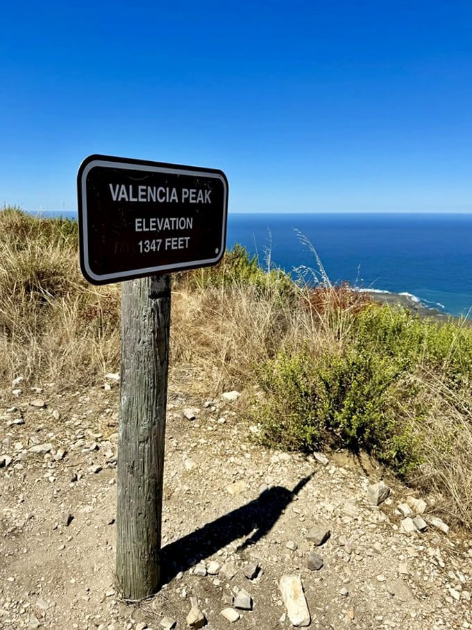 "Valencia Peak: 1,347 feet" reads the sign, but the view feels like a million. Worth every labored breath on the climb up.
