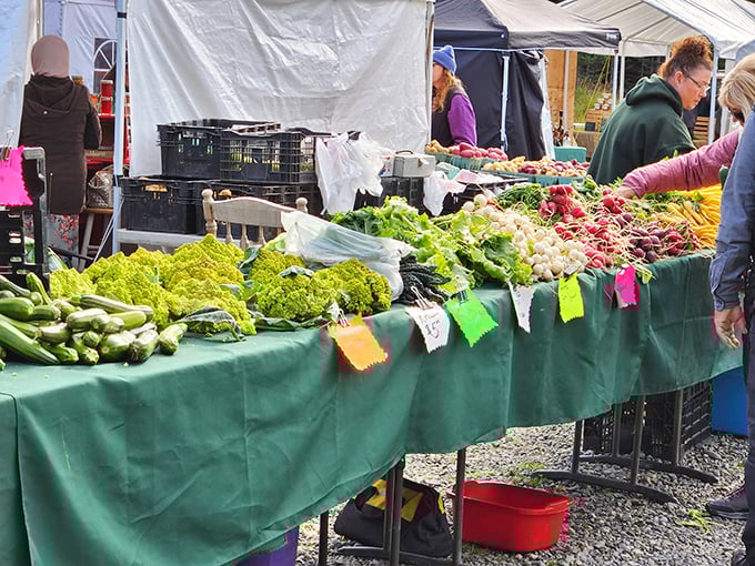 Garden alchemy at its finest. These vibrant greens and radishes might convince even the most dedicated meat-eater that vegetables in Alaska possess superpowers unknown to the Lower 48.