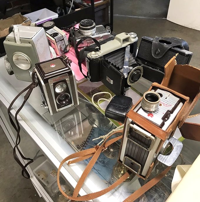 Vintage camera collection that would make any Instagram influencer trade their ring light for actual film. Remember that?