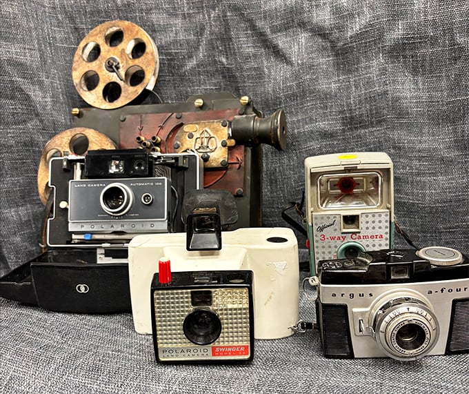 A photographer's paradise of vintage cameras&mdash;each one a time capsule that once captured someone's precious memories.