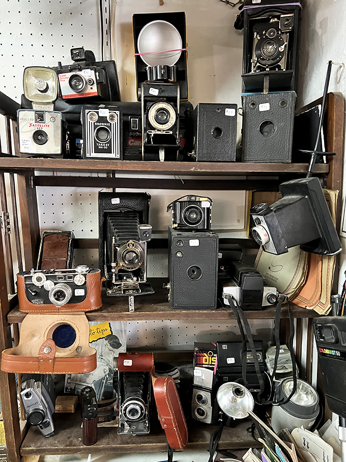 Vintage cameras that captured someone's wedding day or baby's first steps now wait for their second act. Instagram filters, eat your heart out.