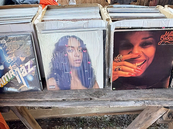 Vinyl heaven for music lovers. These album covers tell stories before you even hear the first note.