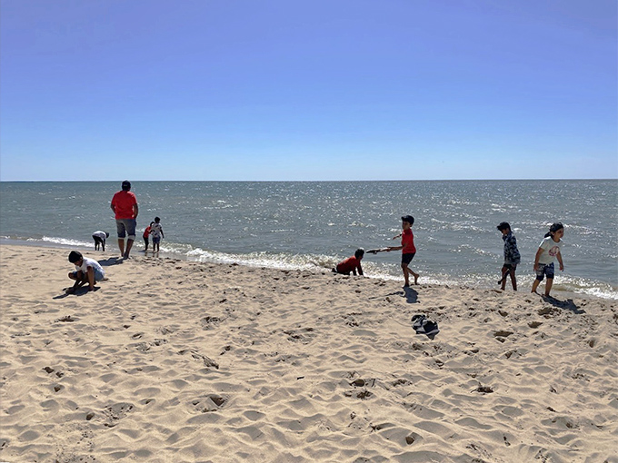 Family beach mathematics: sand + water + children = memories that outlast any screen time or video game.