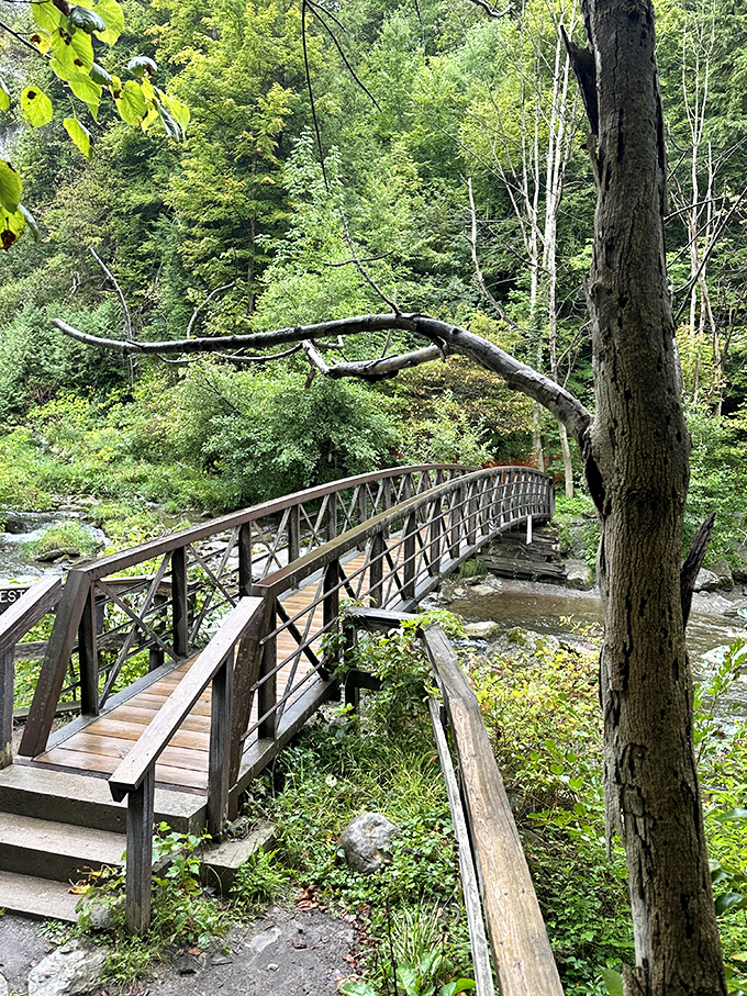 This footbridge isn't just crossing water&mdash;it's crossing between ordinary life and a pocket of wilderness magic hidden in plain sight.