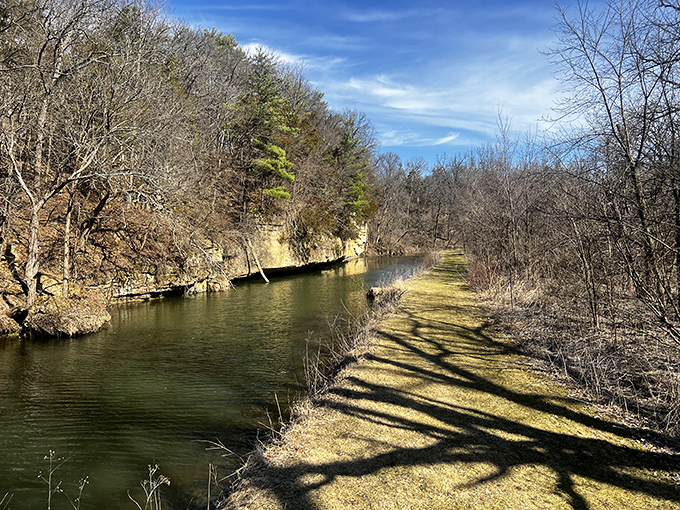 Pine Creek meanders through the landscape like it's got nowhere urgent to be and all day to get there.