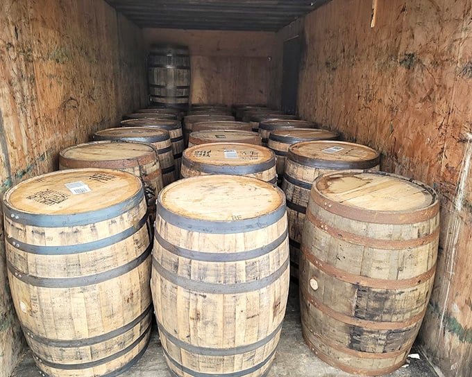 Whiskey barrels lined up like soldiers, ready for their second act. From bourbon to garden feature—talk about a promotion!