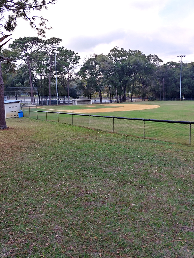 Baseball diamonds are forever in Whispering Pines Park, where Little League dreams and community gatherings have been happening since before smartphones ruined attention spans.