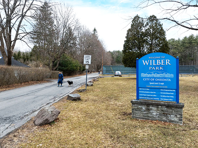 Wilber Park: the perfect spot to walk off that second slice of pie you absolutely "didn't need" but definitely deserved.