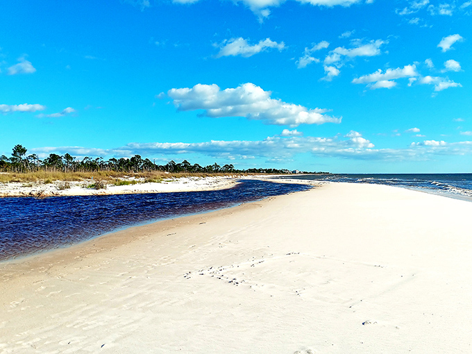 Windmark Beach stretches like nature's welcome mat, where the dark freshwater meets Gulf waves in a display that no infinity pool could ever replicate.