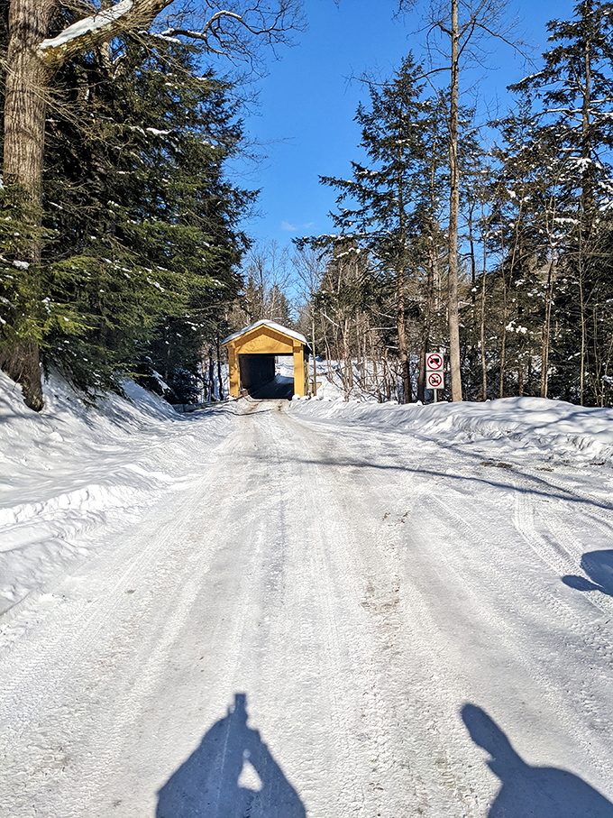 Winter transforms the bridge into a Hallmark card come to life, minus the sappy music and predictable plot.