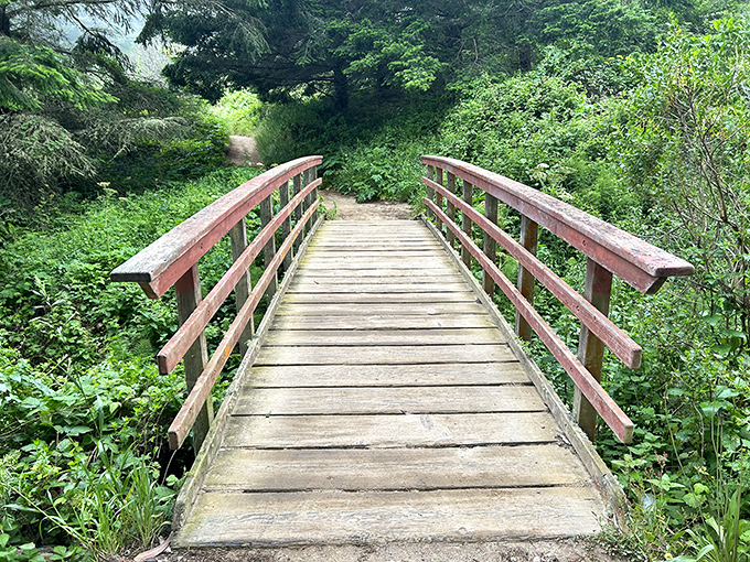 This wooden bridge isn't just a crossing&mdash;it's a portal between worlds, from everyday life to wilderness adventure.