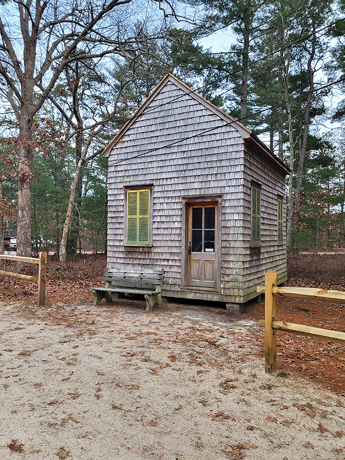 This cedar-shingled cabin looks like it's waiting for Thoreau to show up with a notebook and some profound thoughts about simplicity.