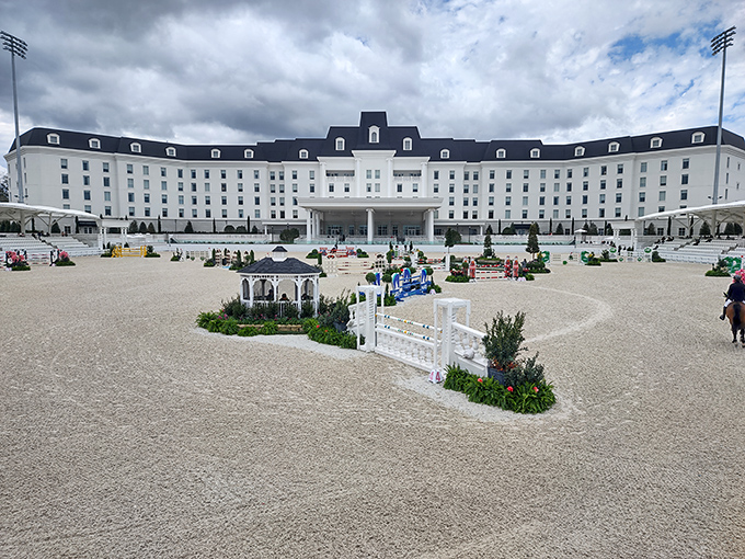 The World Equestrian Center stands as Ocala's crown jewel, where championship horses and riders compete in facilities that would make even non-equestrians stop and stare.